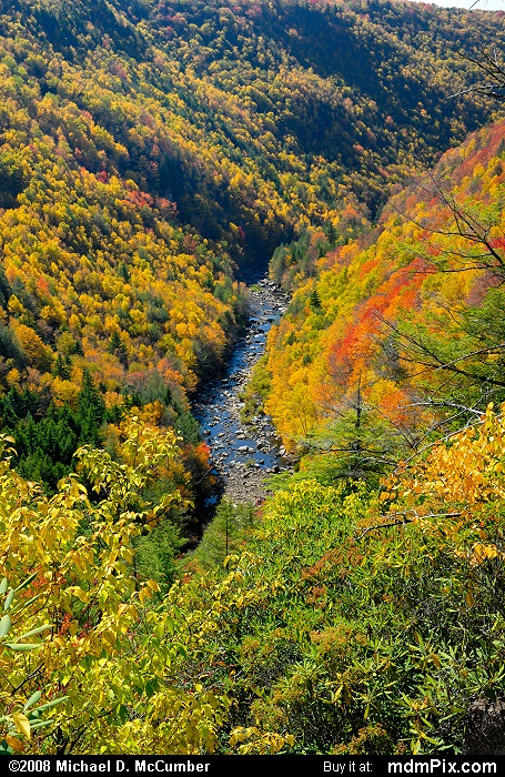 Blackwater Canyon Picture 019 - October 7, 2008 from Blackwater Falls ...