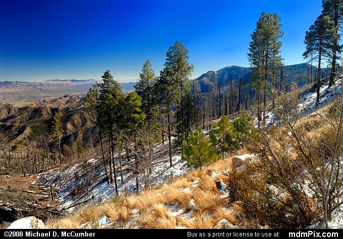 Aspen Vista Picture 035 - December 21, 2008 from Summerhaven, Arizona ...