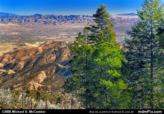 Aspen Vista Picture 042 - December 21, 2008 from Summerhaven, Arizona ...
