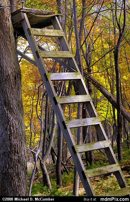 Hunting Tree Stand Picture 046 - October 22, 2009 from South Union ...