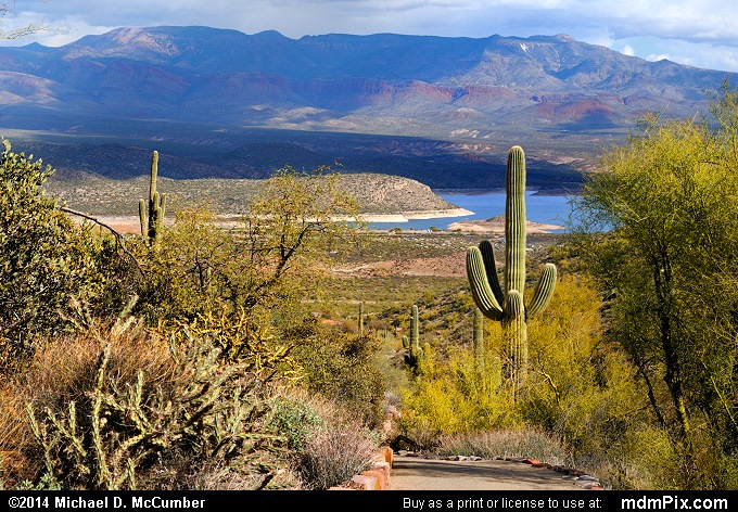 Sierra Ancha Range Picture 003 - February 1, 2014 from Tonto National ...