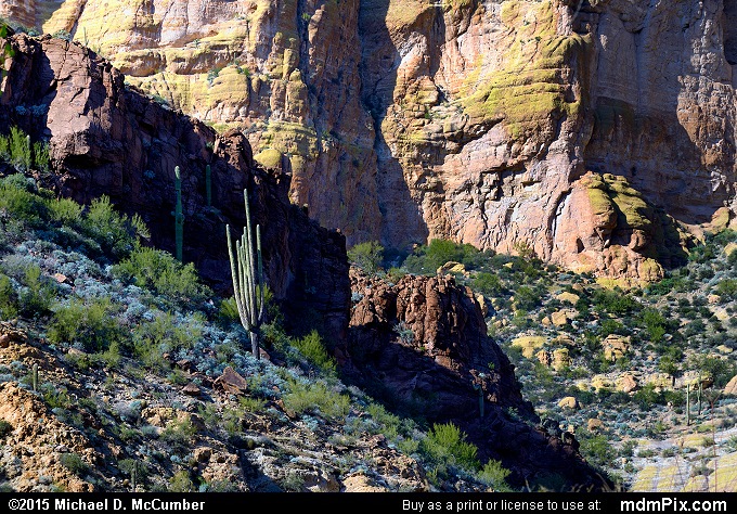 Fish Creek Canyon Picture 052 - February 16, 2015 from Superstition ...