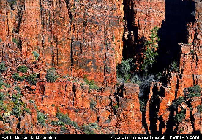 Hog Canyon Picture 035 - February 18, 2015 from Sierra Ancha ...