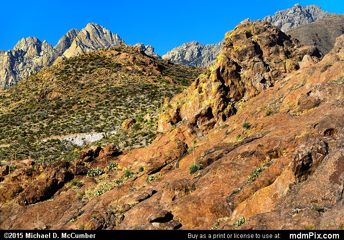 Organ Mountains Picture 041 - March 26, 2016 from Organ Mountains ...