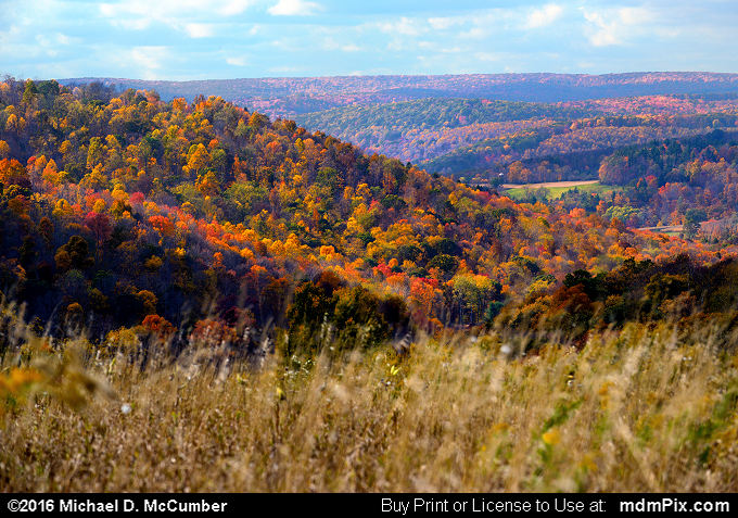 Fall Foliage Picture 035 - October 18, 2016 from Middlecreek Township ...